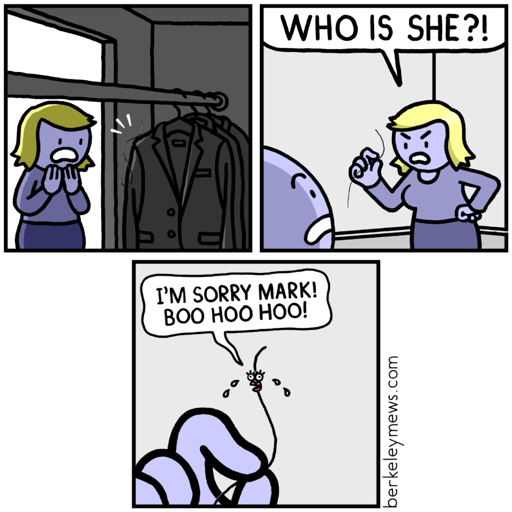 Hair Piece – Berkeley Mews